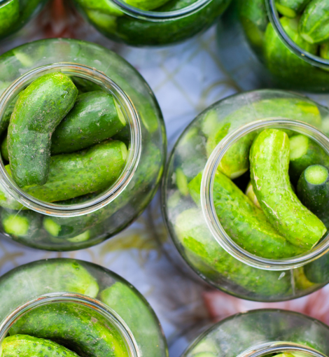 GHERKIN INDUSTRY - INDIA